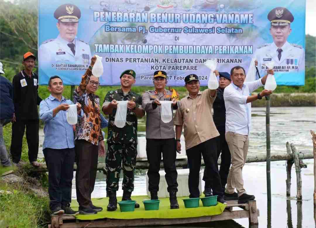 Bahtiar dan Akbar Tebar Benur Udang Vaname di Tambak Budidaya Ikan ...